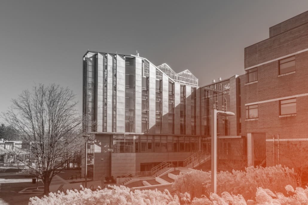 Services | Zahner — Innovation and Collaboration to Achieve the Incredible